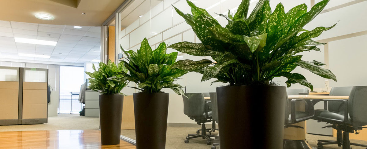 Corporate, Events & Government Flowers – Exquisite Blooms Ottawa ...